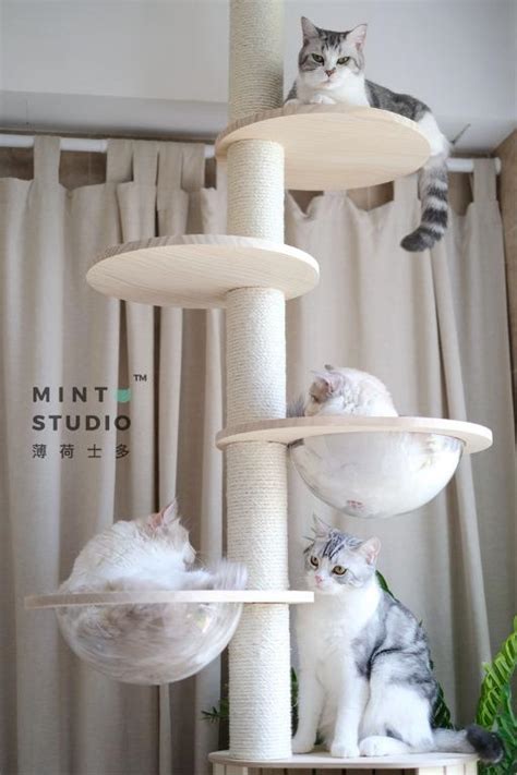 通天柱 頂天立地 實木 貓爬架 貓跳台 貓樹 Cat Tree 99new 原價hk7xx 寵物用品 寵物家品及其他 Carousell