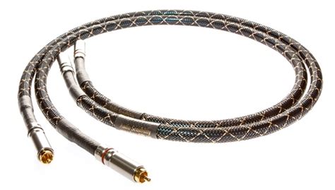 Statement Se Analog Interconnect Review In Wall Of Sound Audio