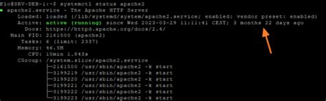 Linux Vérifier Létat Dun Serveur Apache Et Son Uptime