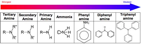 Amines Chubby Revision A2 Level