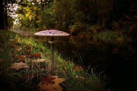 7 Python Data Science Tricks So Powerful I Stopped Using Excel Forever