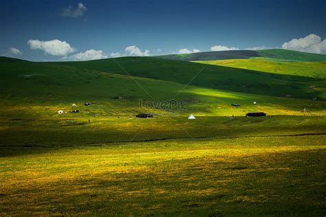 Summer Grassland Picture And Hd Photos Free Download On Lovepik