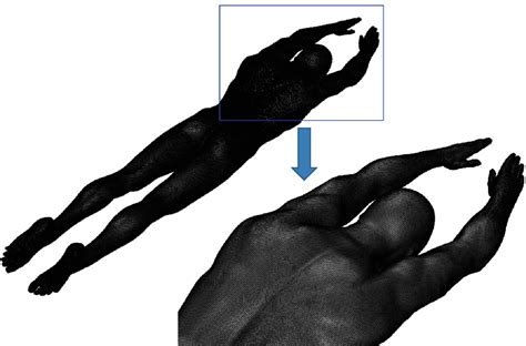 Figure From Hydrodynamic Body Shape Analysis And Their Impact On