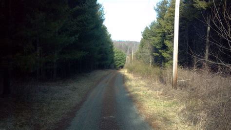 Cockerhams Loop Project • Rectors Grading Service