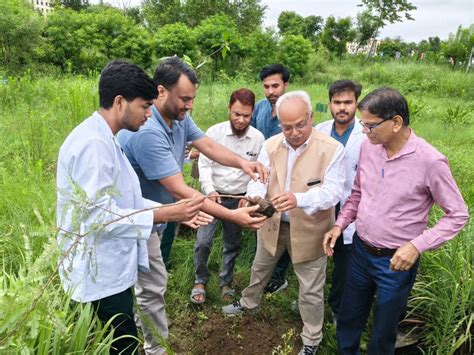 Ek Ped Maa Ke Naam A Green And Emotional Tribute Massive Tree Plantation Drive With 2000