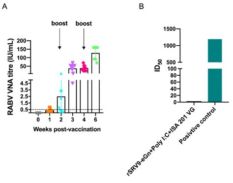 Virus Neutralizing Antibody Vna Analysis For Immunogenicity