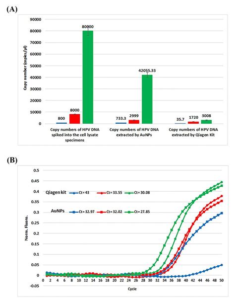 A Comparison Of Dna Purification Efficiency After Spiking Hpv Dna Download Scientific