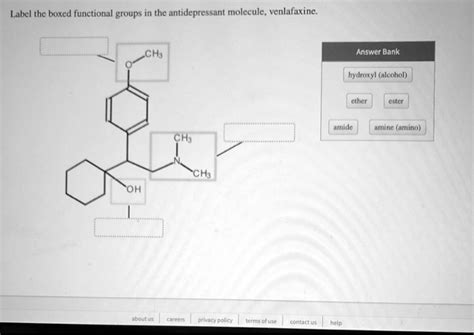 Label The Boxed Functional Groups In The Antidepressant Molecule Venlafaxine Oh Ch3 Ch3 N Ch3