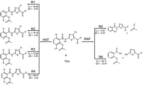 Scheme Of Hydrogen Atom Abstraction Hat And Addition Reactions Raf Download Scientific