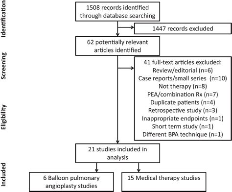 Comprehensive Meta Analysis 2 2 064 Belqlero