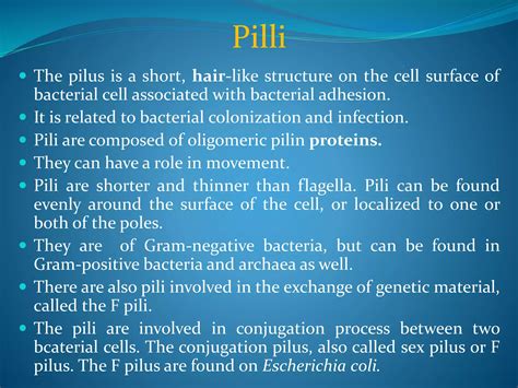 Bacteria Structure And Function Pptx