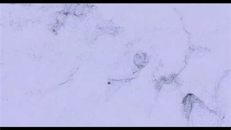 Learn To Code This Black Particle Swarm In Threejs Youtube