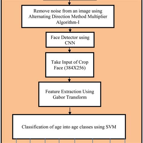 Flow Chart Of Proposed Architecture For Gender Classification Download Scientific Diagram