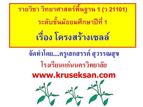 Pdf โครงสร้างเซลล์ Cell Structure Dokumen Tips