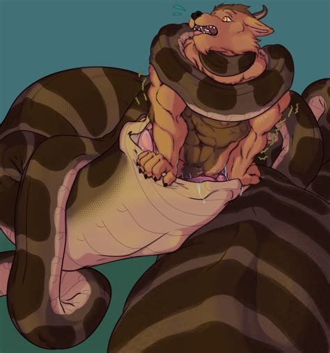 Rule 34 Absurd Res Animal Genitalia Anthro Anthro Only Anthro Prey