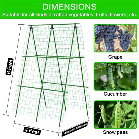 4 X 6 Garden Trellis For Cucumber Climbing Plants Outdoor 4 X 6 Garden Trellis For Cucumber Climbing Plants Outdoor