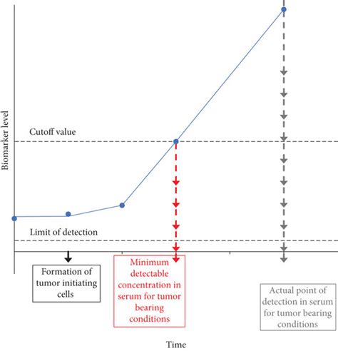Minimum Detectable Concentration Versus Actual Point Of Detection The Download Scientific