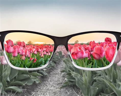 Five Colorblind Individuals Receive Corrective Glasses Optical Prism