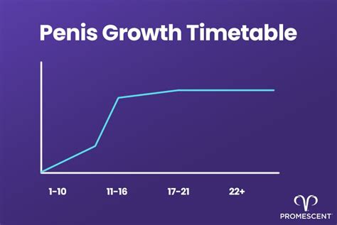 When Does Penis Growth Stop Top Sellers