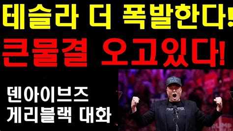 테슬라 더 폭발한다 큰물결이 오고있다 세상을 뒤집어놓을 그것 덴아이브즈와 개리블랙의 대화 분석 로보택시가 가까웠다 세상은 아직도 모른다 모든투자는 10년후를