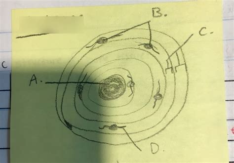 Bone Diagram Quizlet