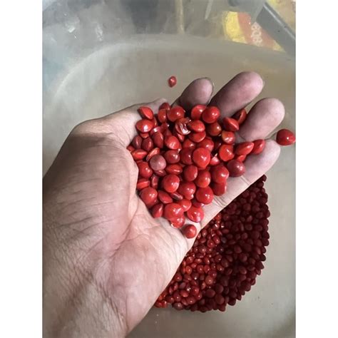 Jual Biji Saga Biji Merah Shopee Indonesia