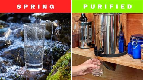 Purified Vs Spring Water What S The Difference And Which Is Better