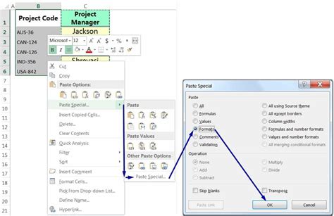 10 Alternate Methods How To Copy Formatting In Excel