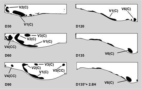 8 Visualization Of Streamwise Oriented Vortices Sovs In The Mean Flow