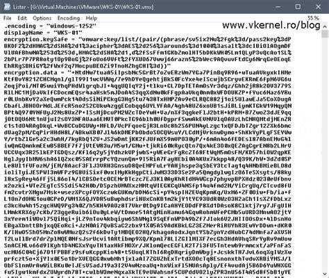 Restricting Virtual Machines In VMware Workstation