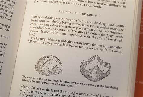 Favourite Cook Books No5 ‘english Bread And Yeast Cookery By Elizabeth