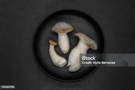 회색 돌 배경에 검은 주철 그릇에 3 개의 Eringi 버섯의 추상 구성 0명에 대한 스톡 사진 및 기타 이미지 0명 갈색 건강한 생활방식 Istock