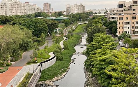 整層住家 竹溪社區旁三房職住合一工作室住家全新裝修 591租屋網