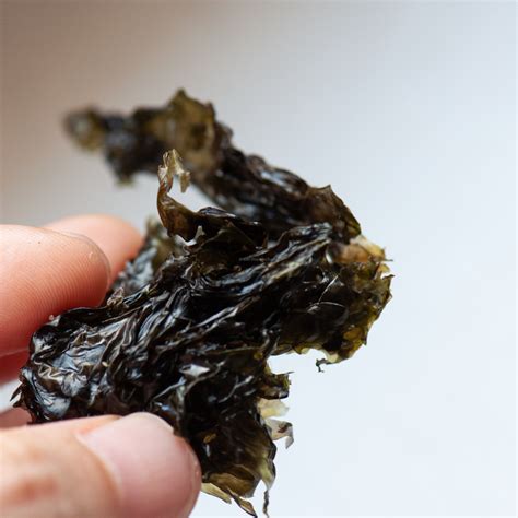 紫菜酥 罐裝 新孟成澎湖名產