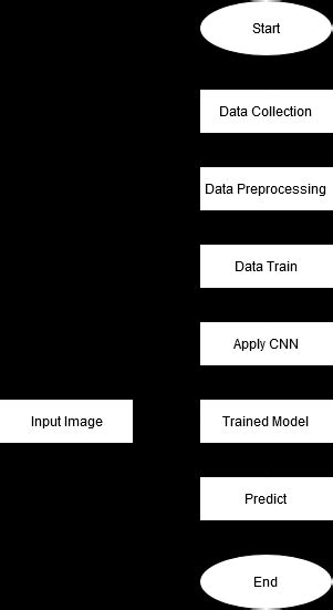 Model Creation And Prediction Steps Download Scientific Diagram