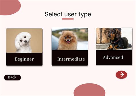 Daily Ui 064 Select User Type Figma