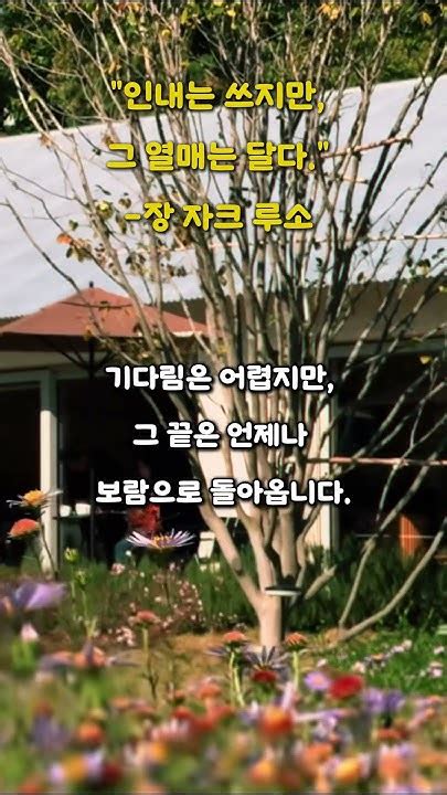 함께하는 휴식처 오늘의명언 명언 긍정의한줄 힐링명언 좋은글 긍정의말 한줄명언 지혜 긍정적마인드 시니어힐링 Youtube