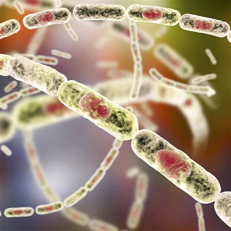 Cbrn Products Mars Cbrn Filtration And Detection Systems