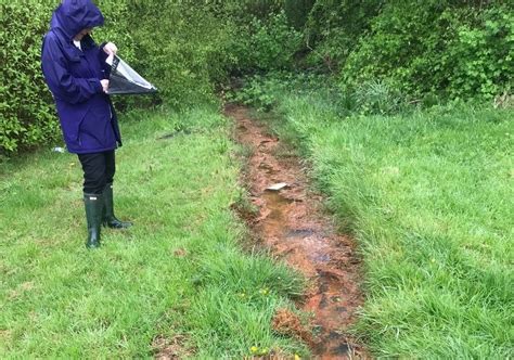 Urban Diffuse Pollution Natural Course