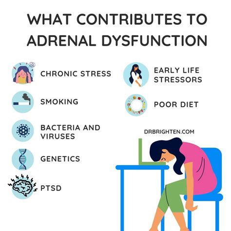 Adrenal Fatigue Symptoms Causes And Treatments