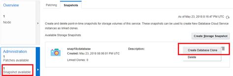 Oracle 18c Cloud Database Cloning By Instance Snapshots Oracledbwr