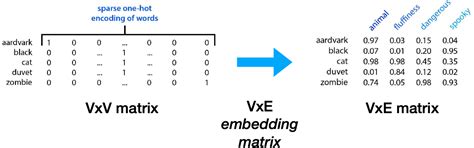 Lecture Foundation Models The Full Stack