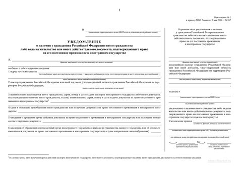 Бланк внж образец