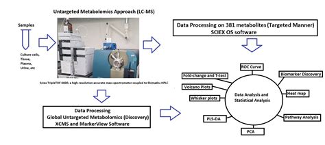 Untargeted Metabolomics Metabolomics Core Facility UT Southwestern Dallas Texas