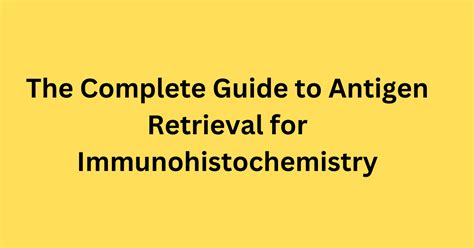 The Complete Guide To Antigen Retrieval For Immunohistochemistry