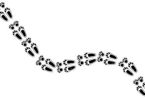 Premium Vector Bunny Paw Print Trail Isolated Illustration On A White Background Vector