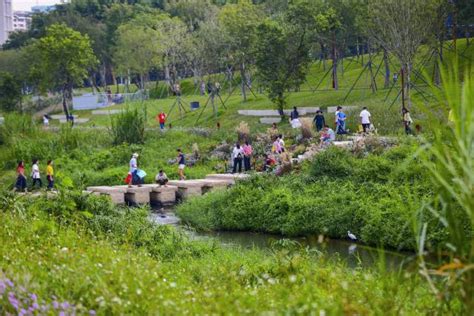 大沙河生态长廊绿道：创新与人文碰撞出的独特风景线 深圳24小时 深新闻 奥一网