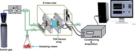 electronic nose system developed for analysis of meat headspace