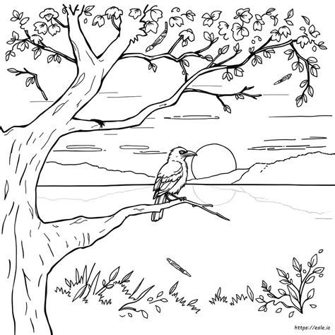 Ravan Schets Om In Te Kleuren Kleurplaat