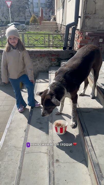 Когда их вижу сердце сжимается 🫀 Youtube